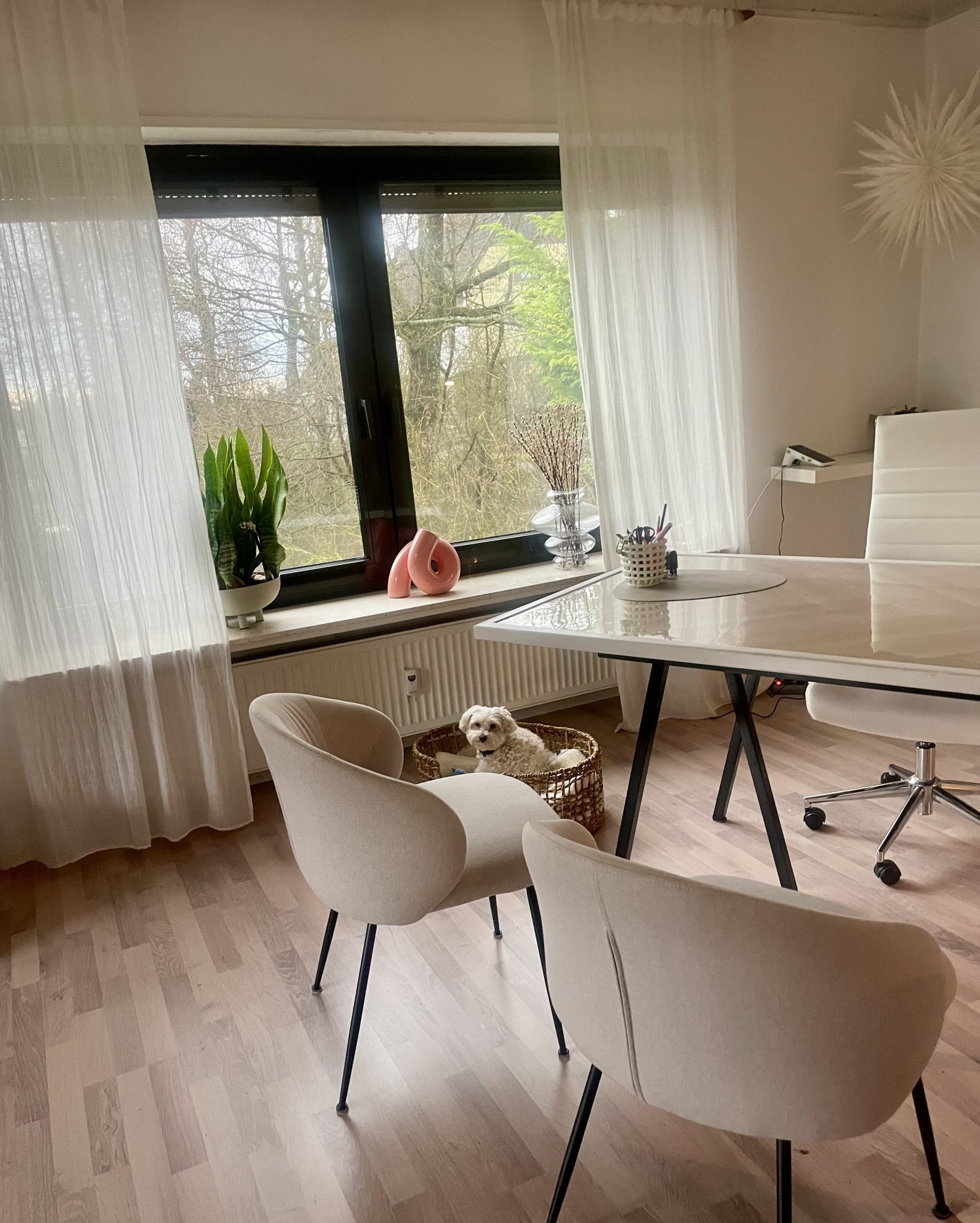 Praxis - Praxis für Psychotherapie & psychologische Diagnostik